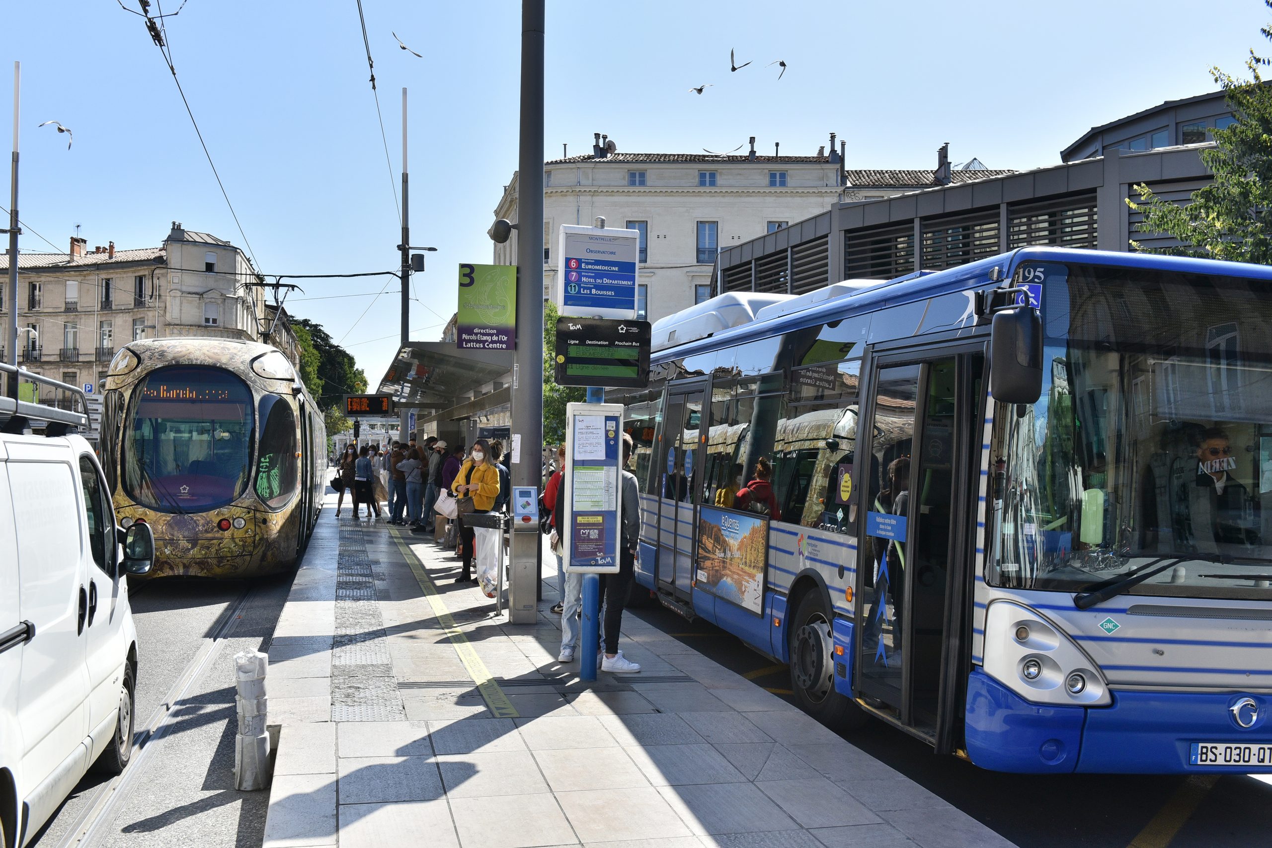Transport et stationnement dans les métropoles - Urbanisme