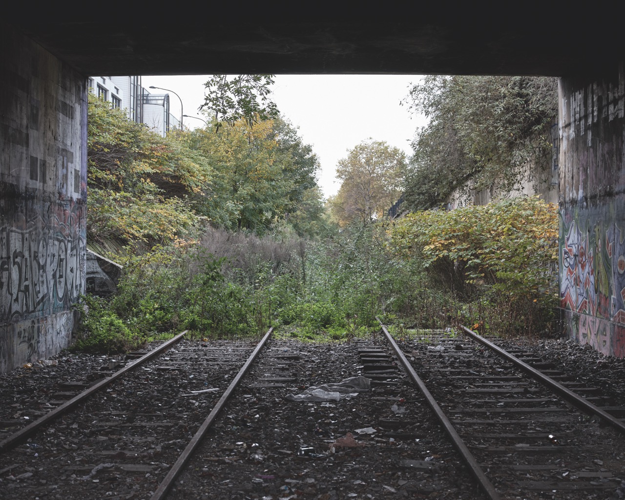 La nature des friches - Urbanisme